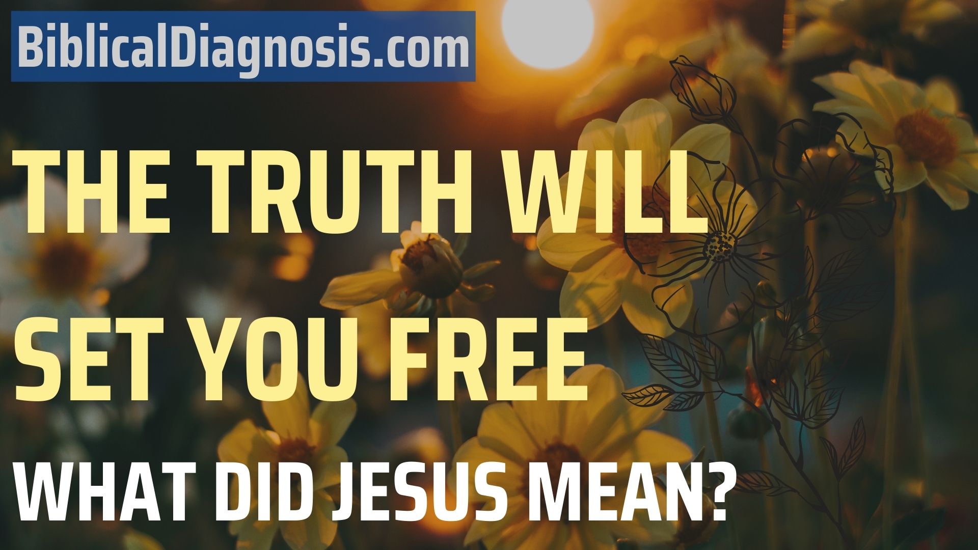 The Truth Shall Set You Free: What Did Jesus Mean? – BiblicalDiagnosis